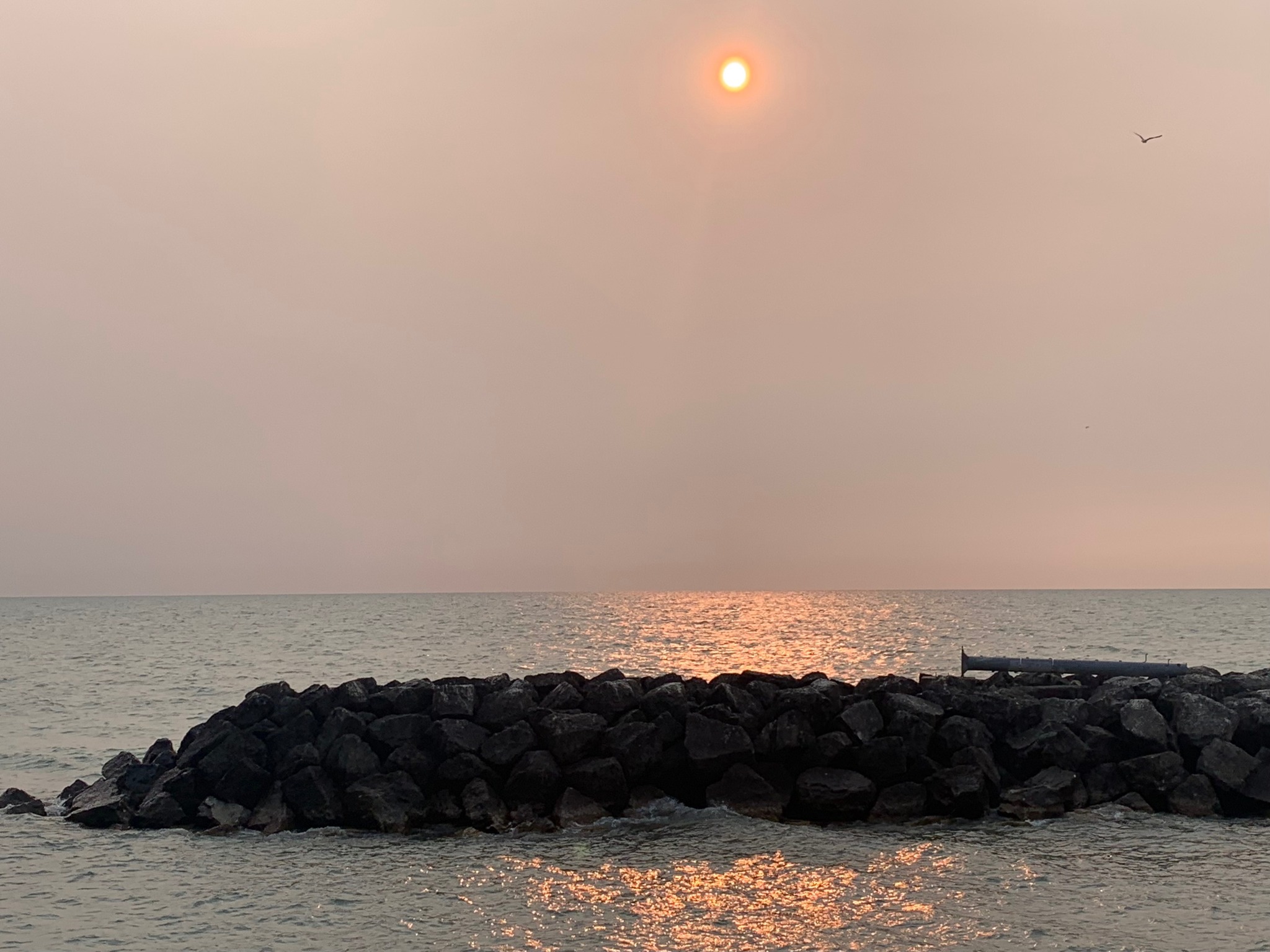 Lake Michigan Lapping | South 85 Journal